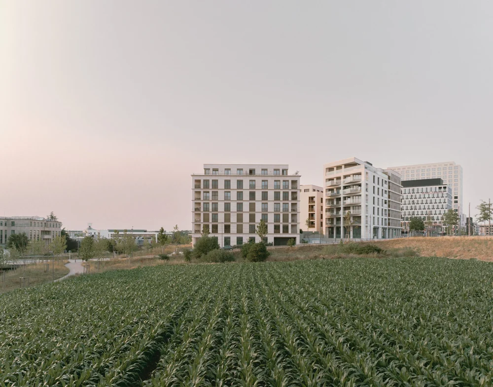 Bureaux Andrew Phillips | Explore Our Work