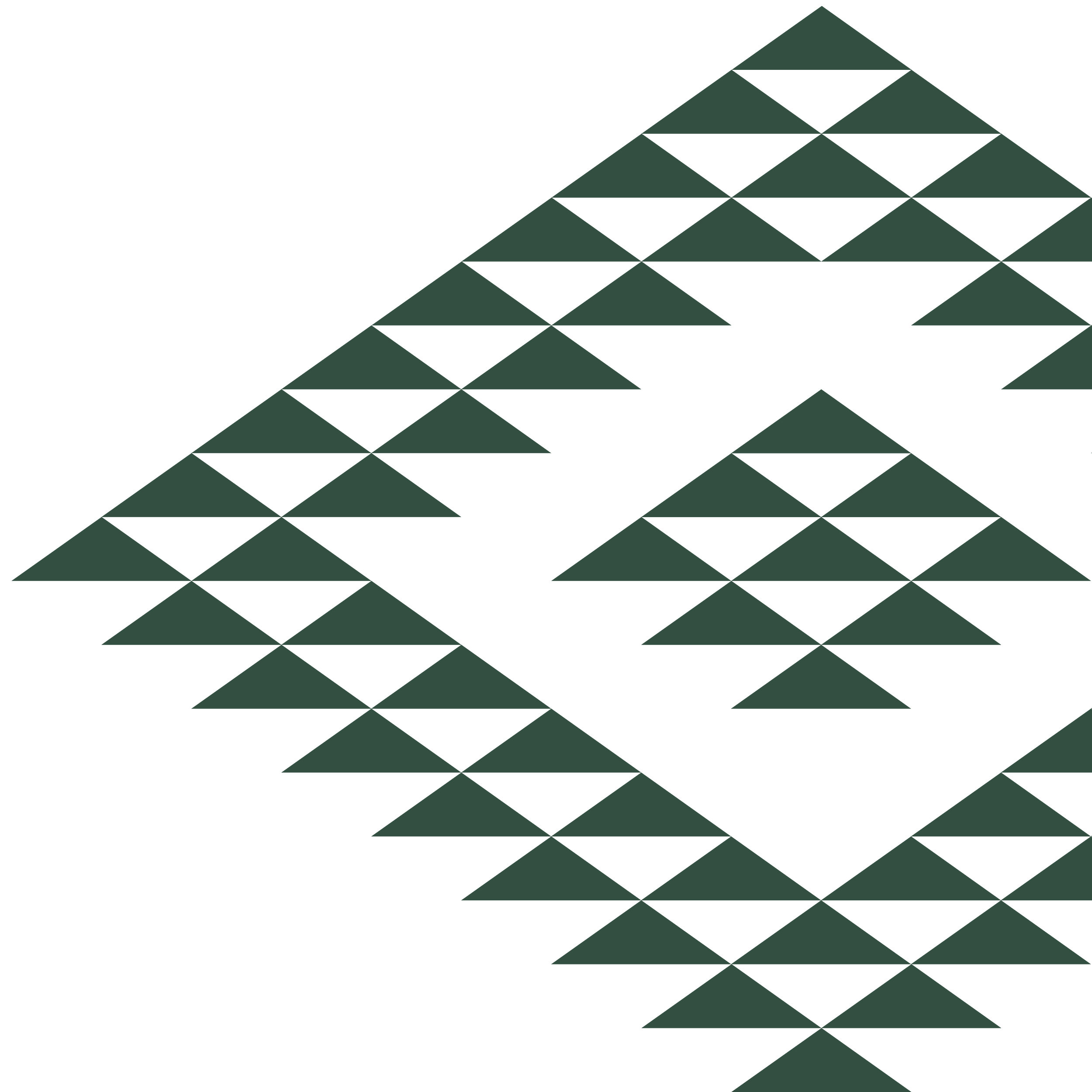Tangata Rau
