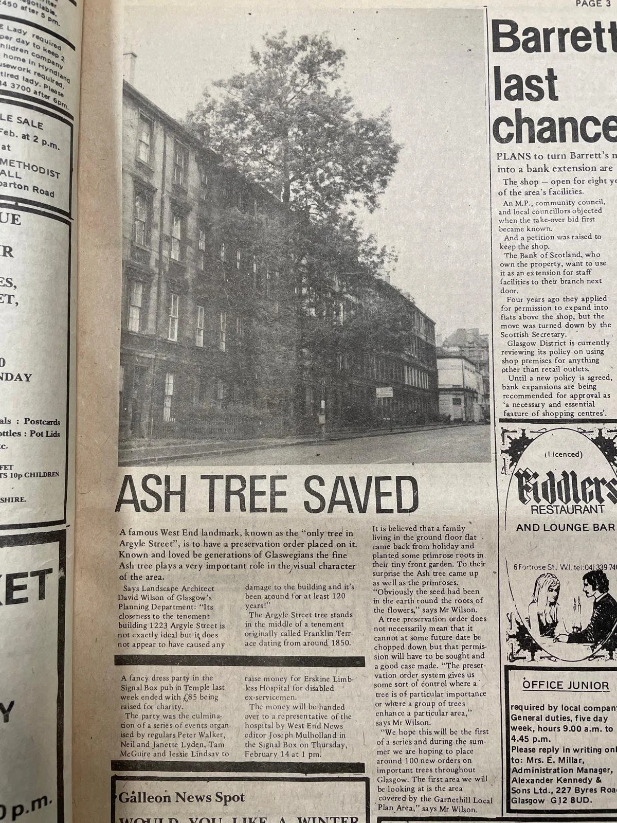 The Argyle Street Ash | Woodland Trust Tree of the Year 2025 | Glasgow ...