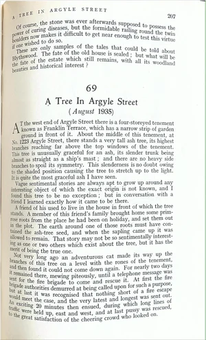 The Argyle Street Ash | Woodland Trust Tree of the Year 2025 | Glasgow ...