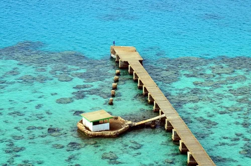 SUDIA (Sudanese Development Initiative)