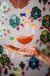 Roe | Elevated Comfort Food & Cozy Vibes | Bellingham Restaurant