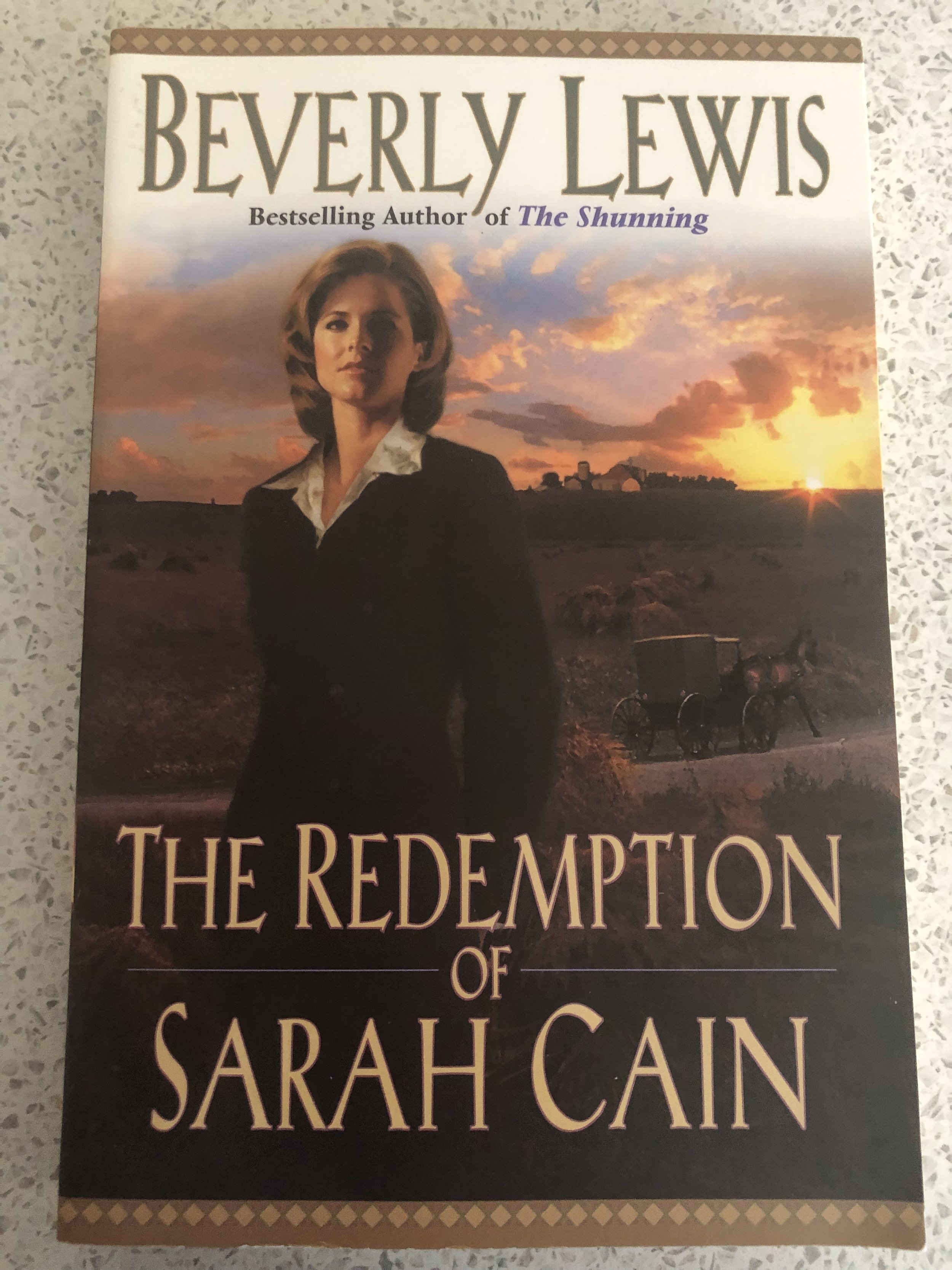 If A Wicked Man (John Sealey) — Good Shepherd Bookshop