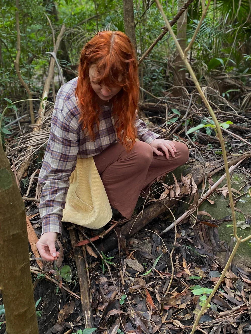 The Botanical Alchemist