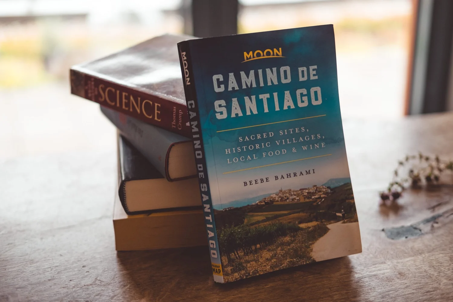Best Travel Guidebooks Compared: Lonely Planet, Rick Steves, Rough ...