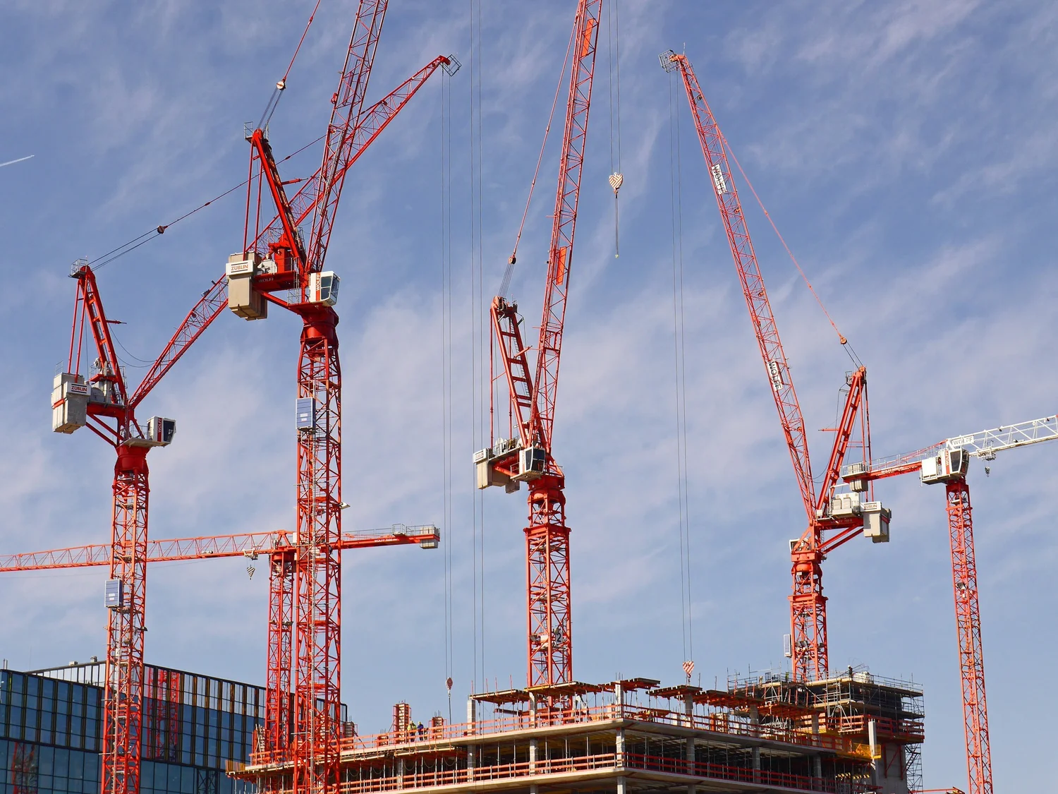 All Cranes