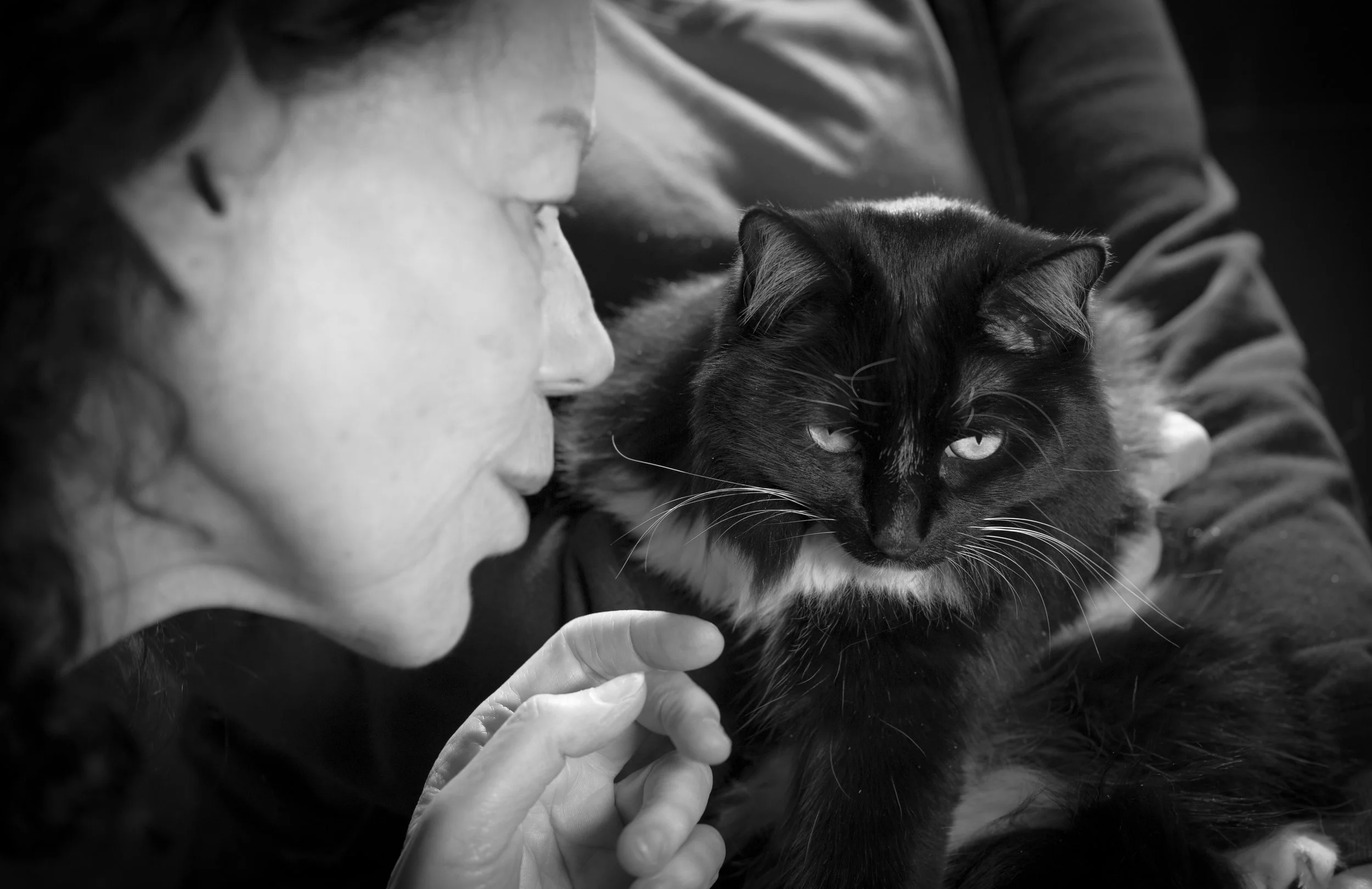 Services 3 — Walker Digital Images