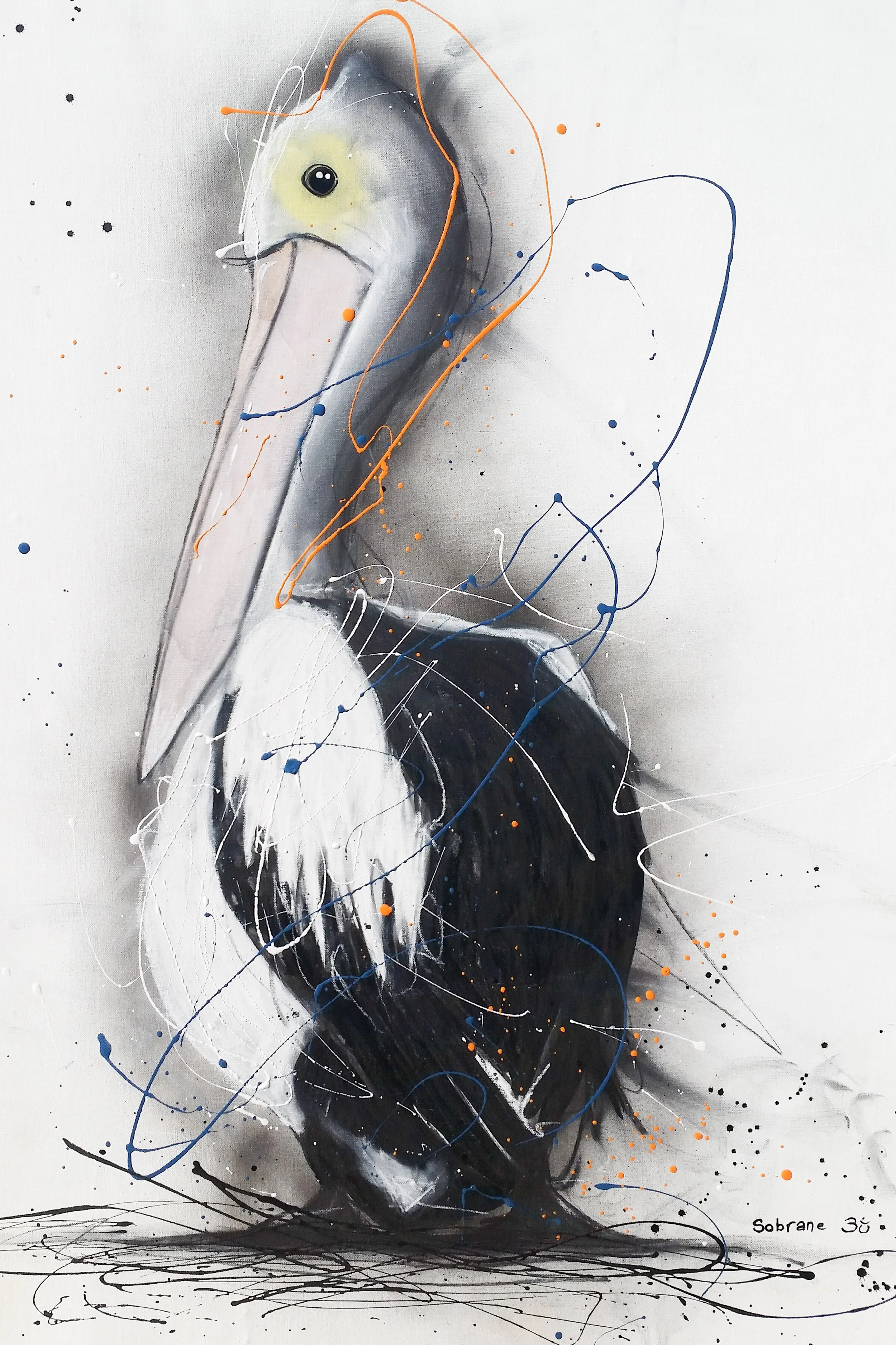 Pelican Aussie one — Sobrane
