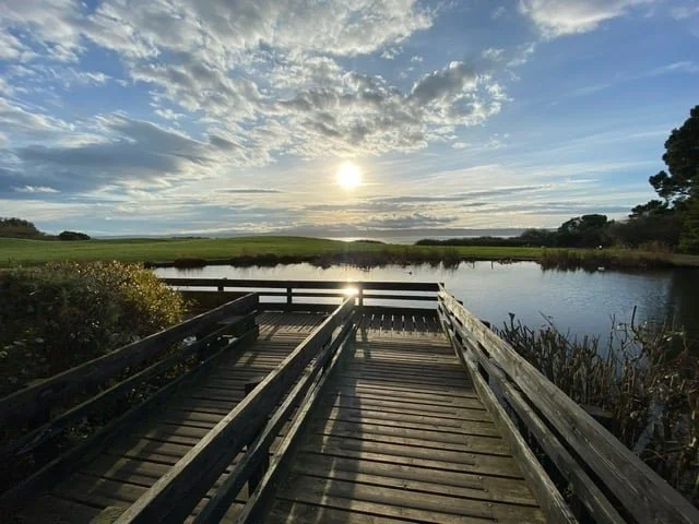 Bee Wirral | Join Our Community