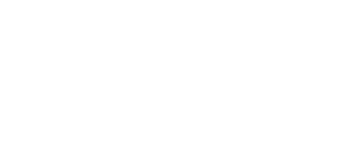 Texas Women's Leadership Conference