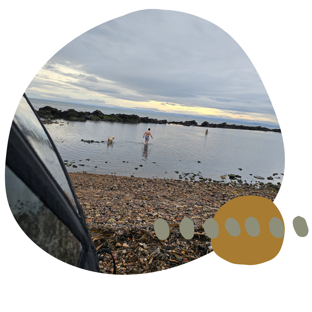Bees Sauna | Relax and Reconnect Today