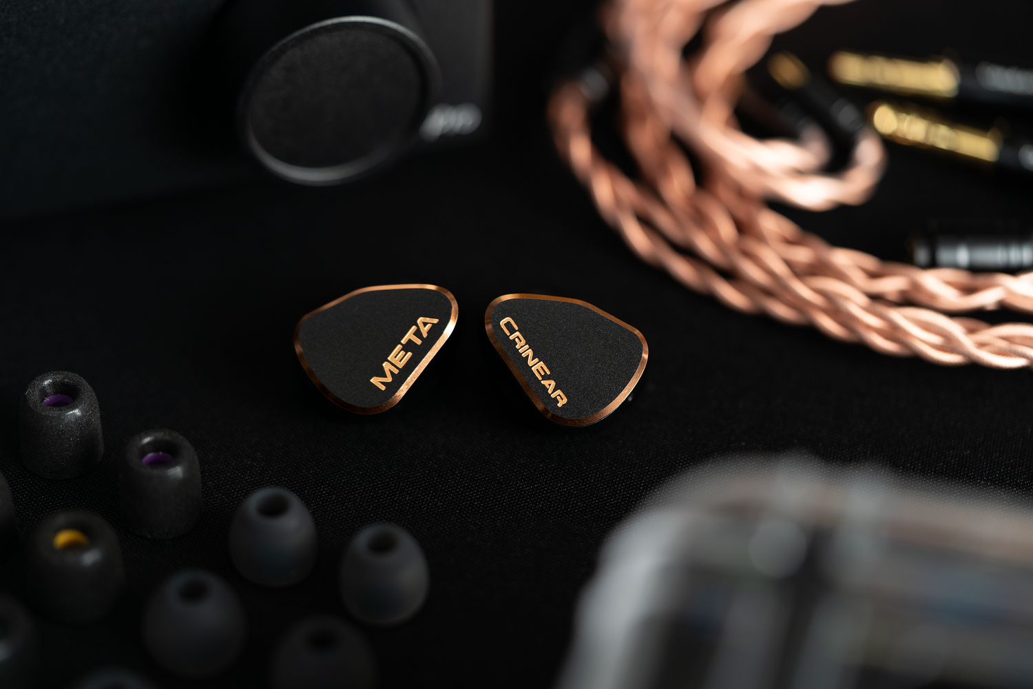 Project Meta — CrinEar