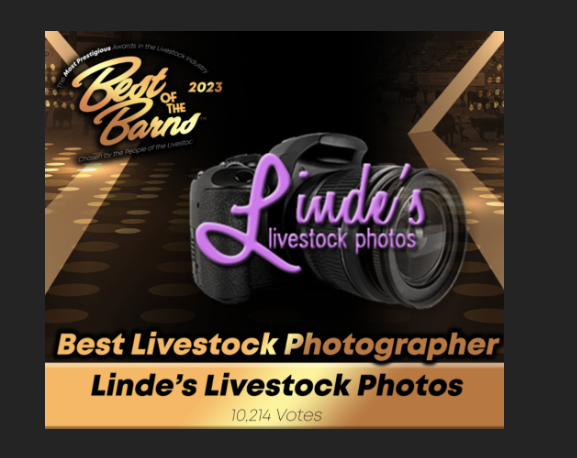 Media | Explore Livestock News — Keystone International Livestock ...