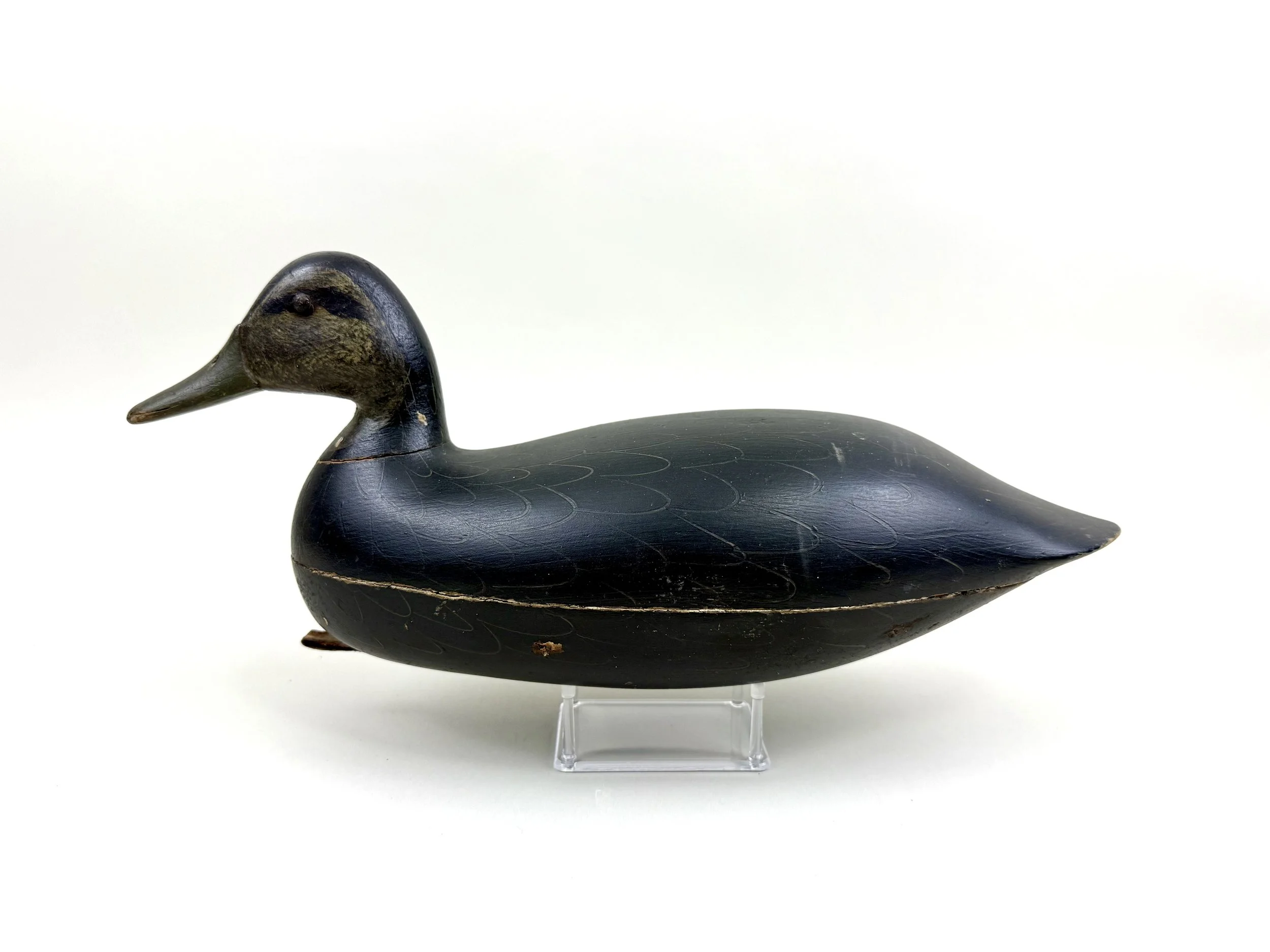 Harry Mitchell Shourds Black Duck | American Sporting Classics