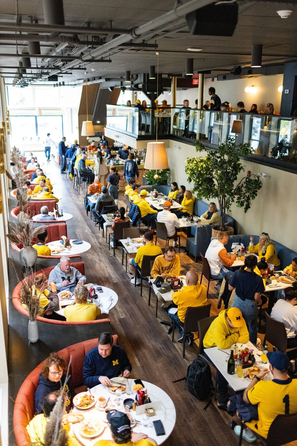 About 3 — Sava's Ann Arbor
