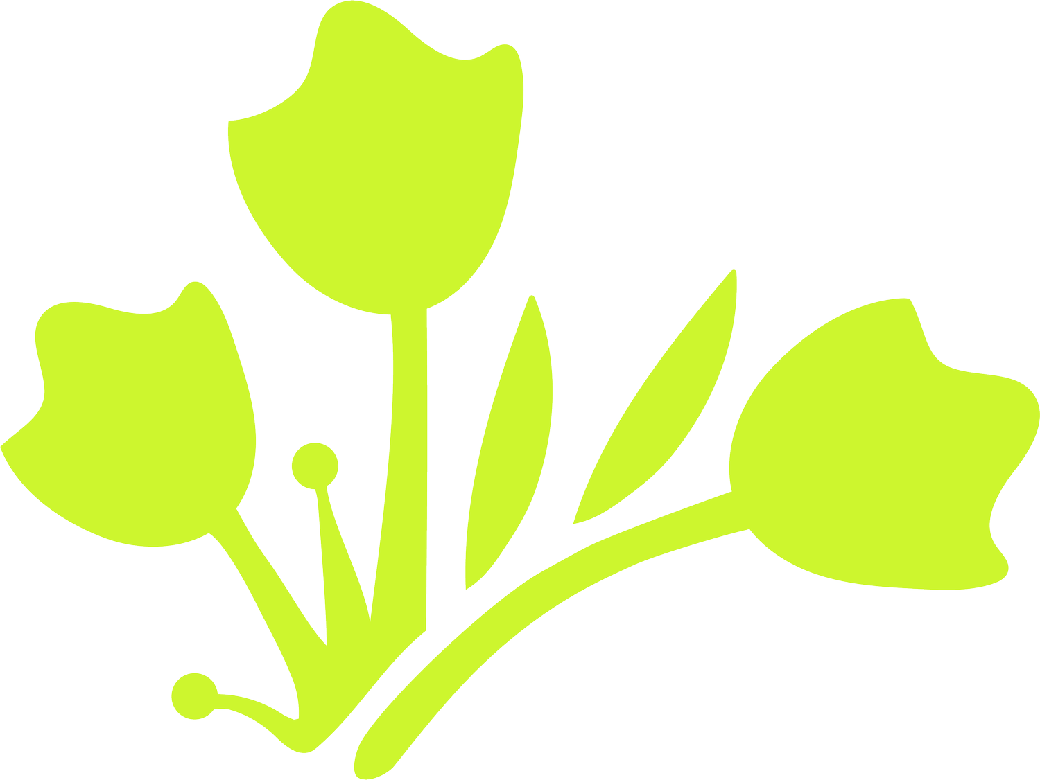 Fresh Meadows Vision