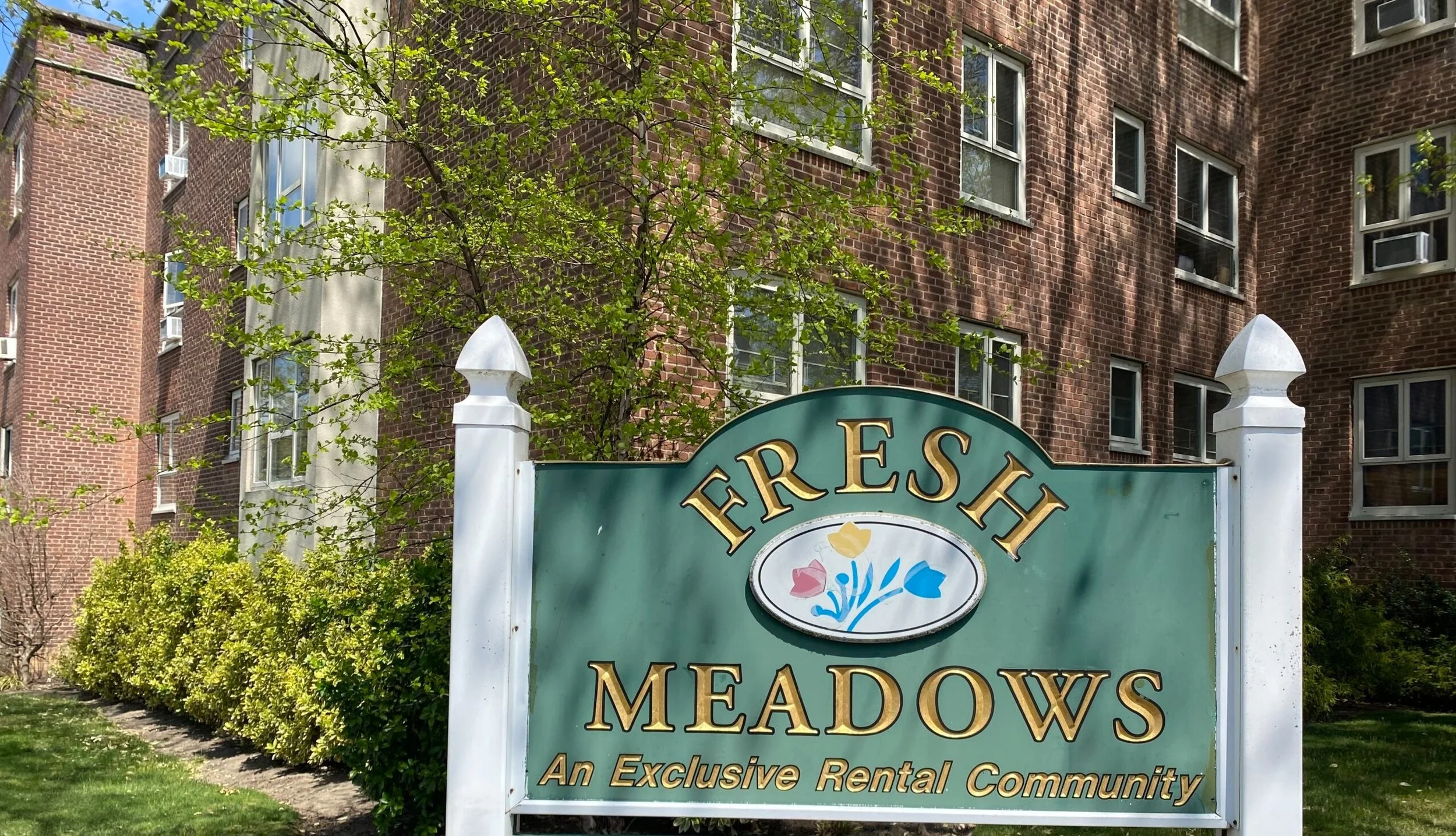 Fresh Meadows Vision