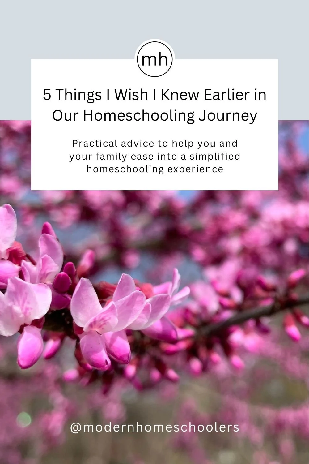 Companion Resources for Our Guide — modern homeschoolers