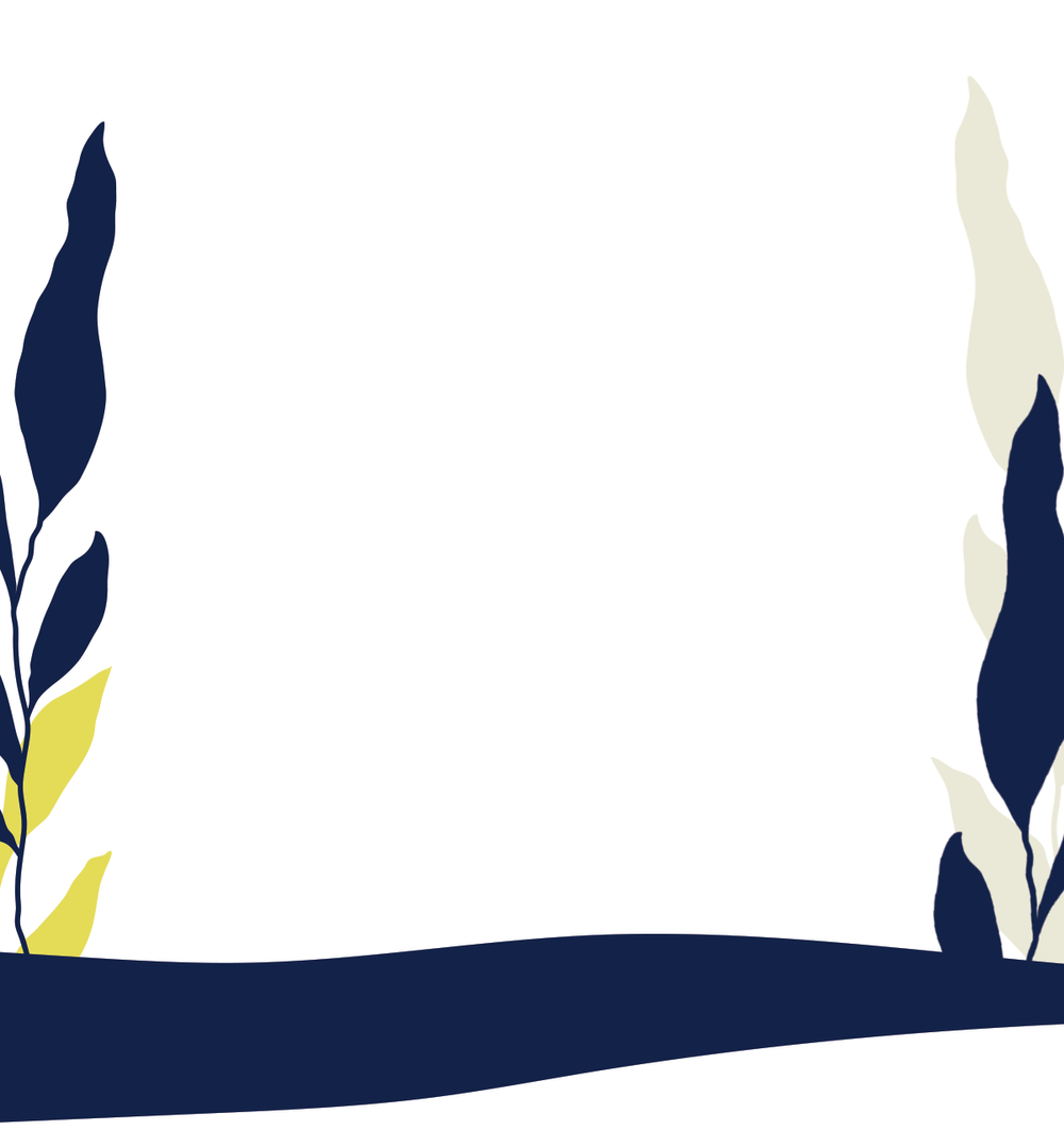 About | Unlock Your Potential — Conforti Coaching