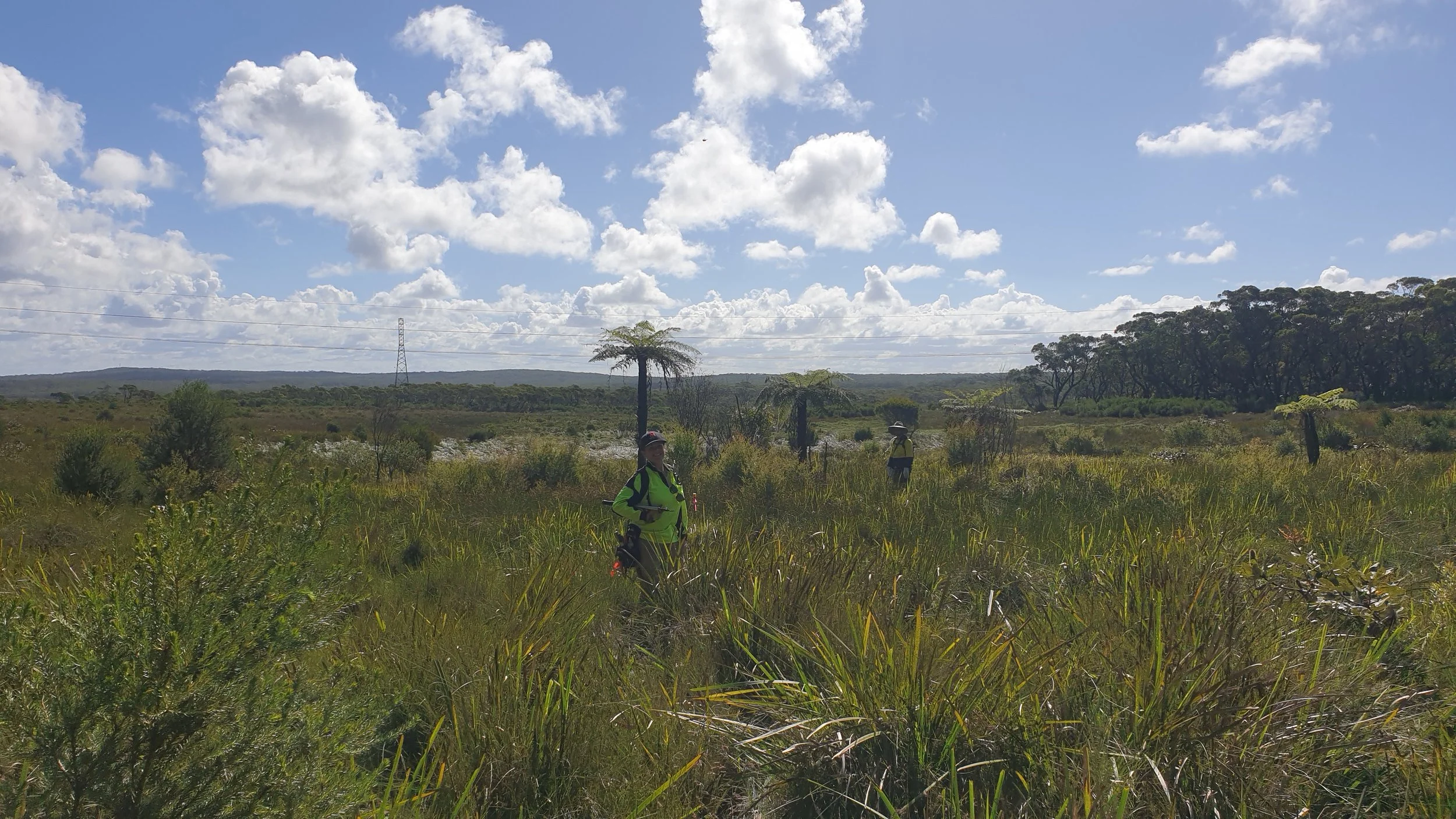 Good Bush - Natural Area Management