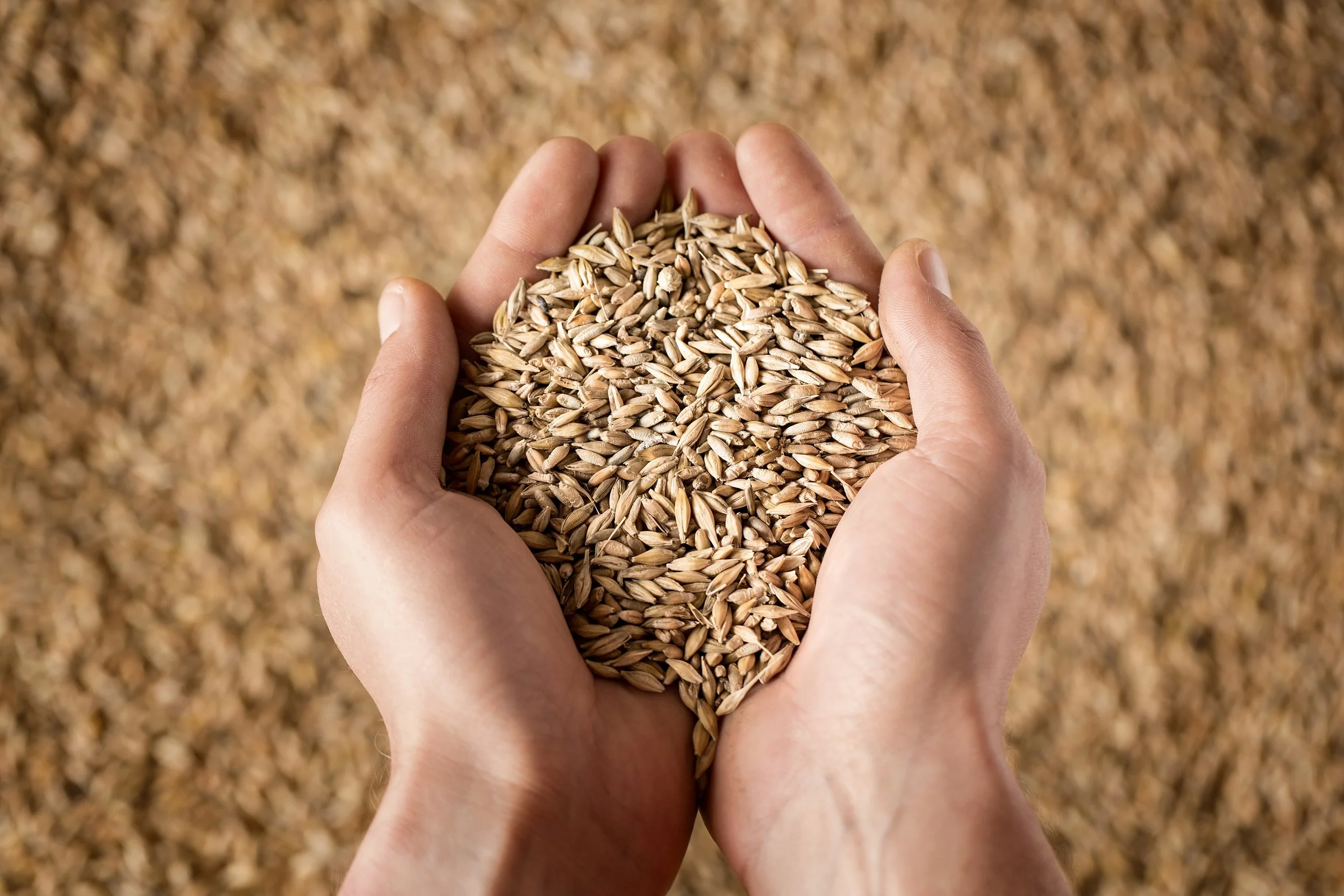 Compact Food Solutions | Emergency & Therapeutic nutrition products ...