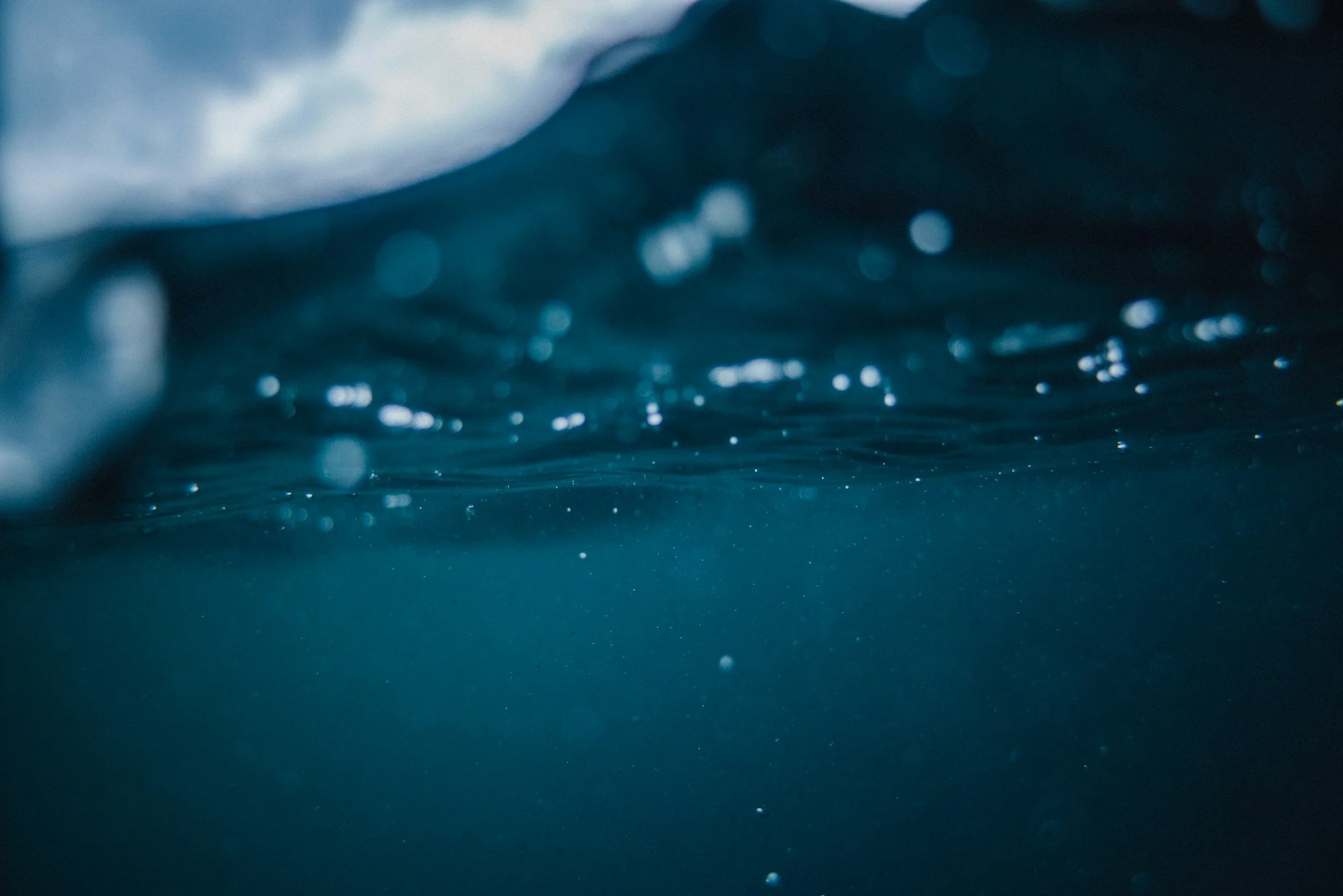 World Ocean Celebration Miami | Join the Celebration