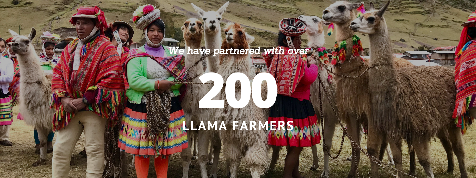 Llama Pack Project