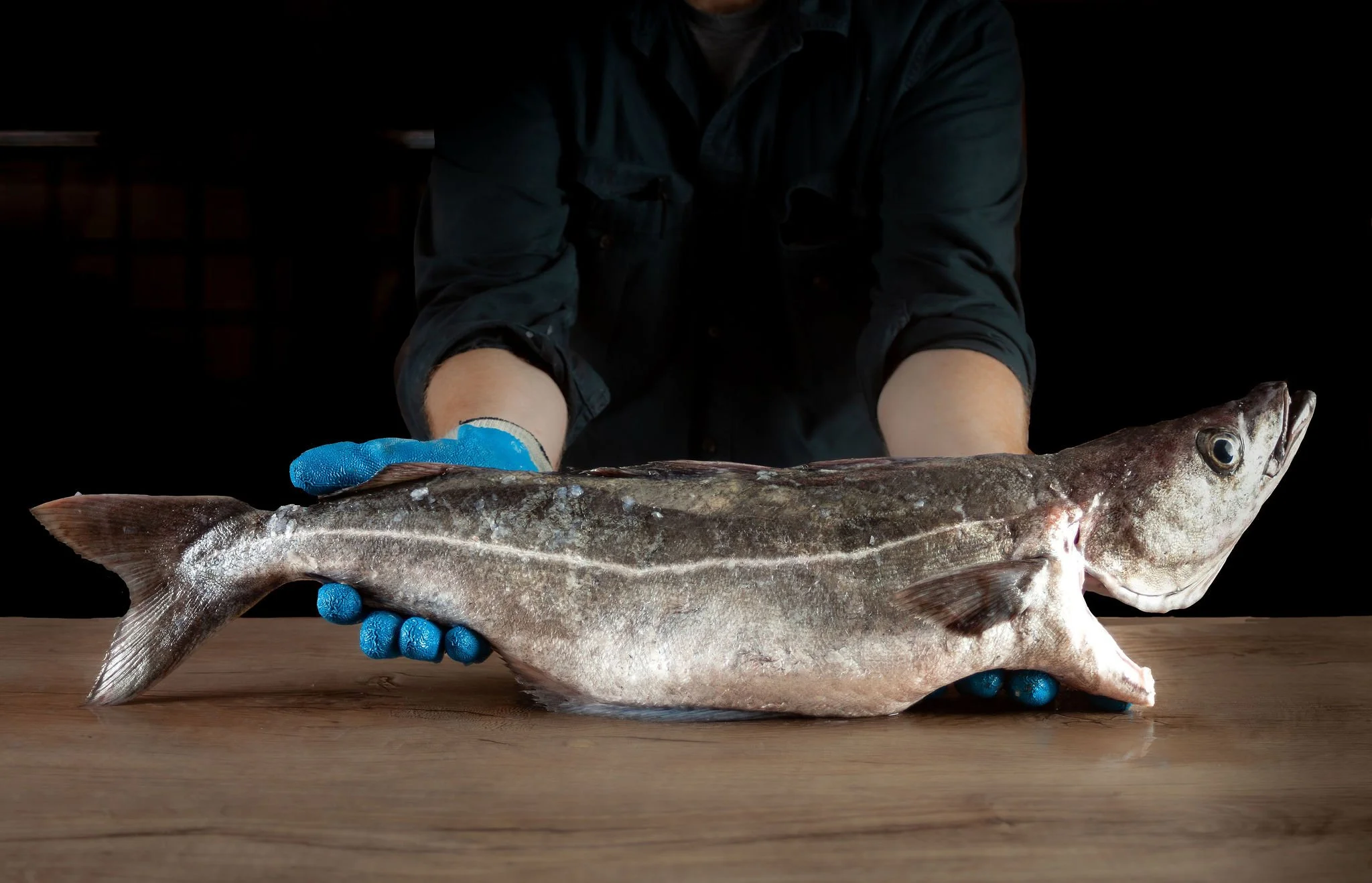 Fresh Haddock: Taste The Difference. Trust The Tradition — Canastra ...