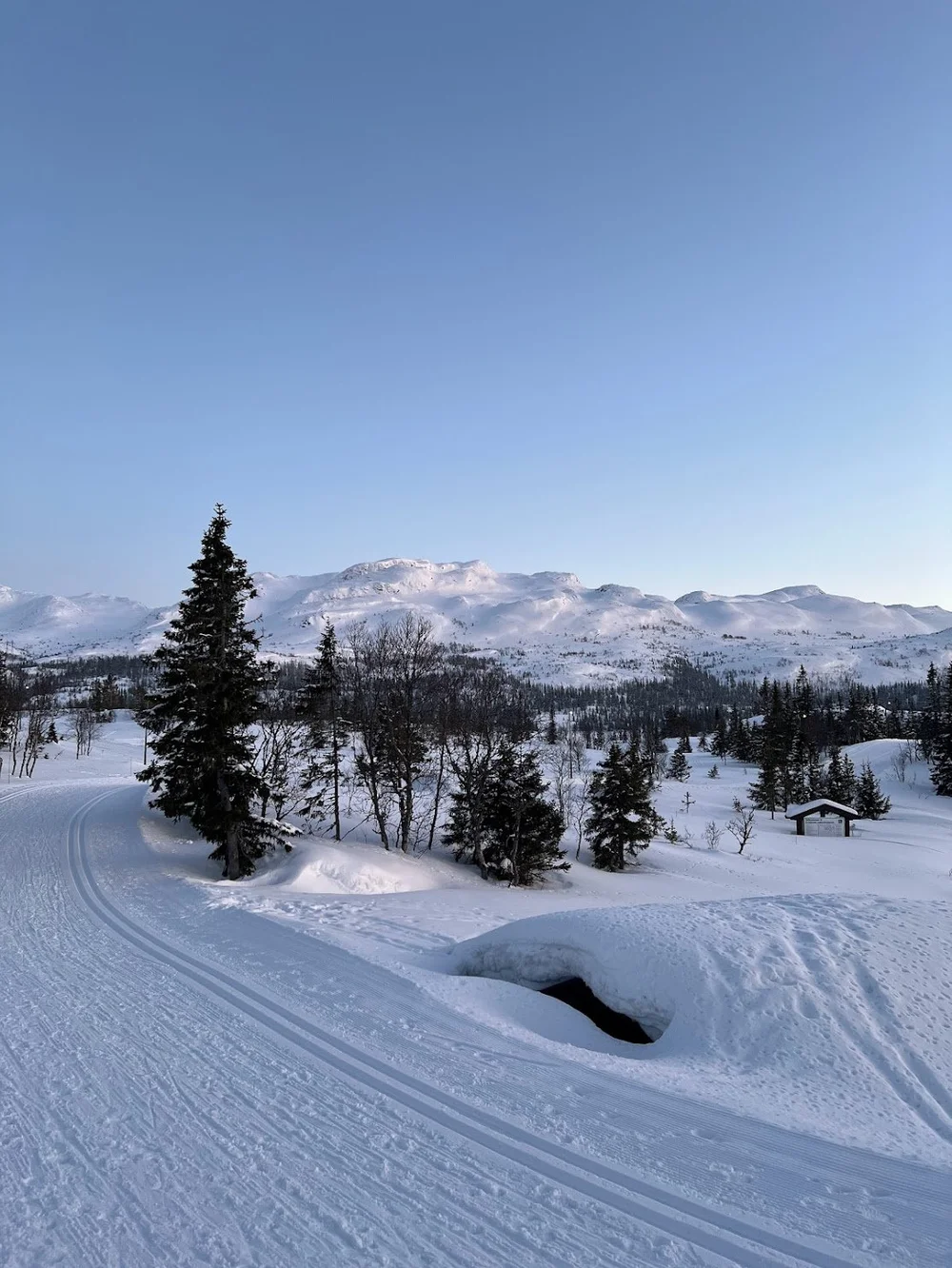 Unlock Norway — your key to life in Norway