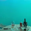 What it’s like to eat at Under: Norway’s underwater restaurant — Unlock ...