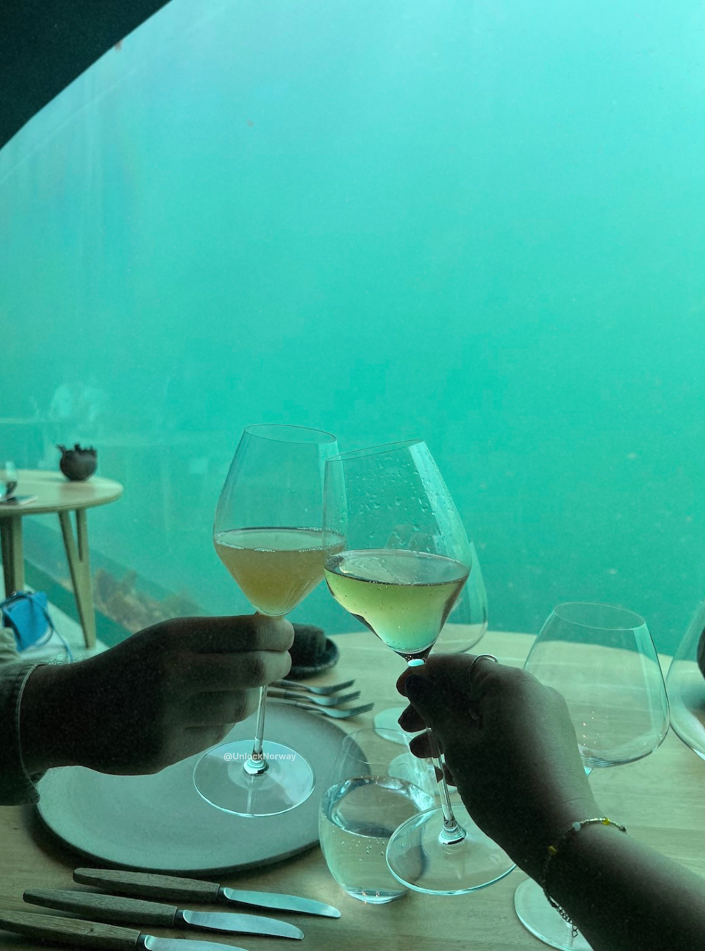 What it’s like to eat at Under: Norway’s underwater restaurant — Unlock ...
