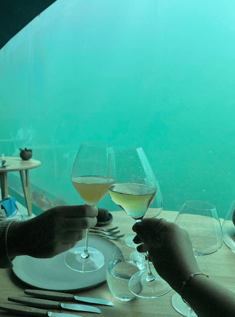 What it’s like to eat at Under: Norway’s underwater restaurant — Unlock ...