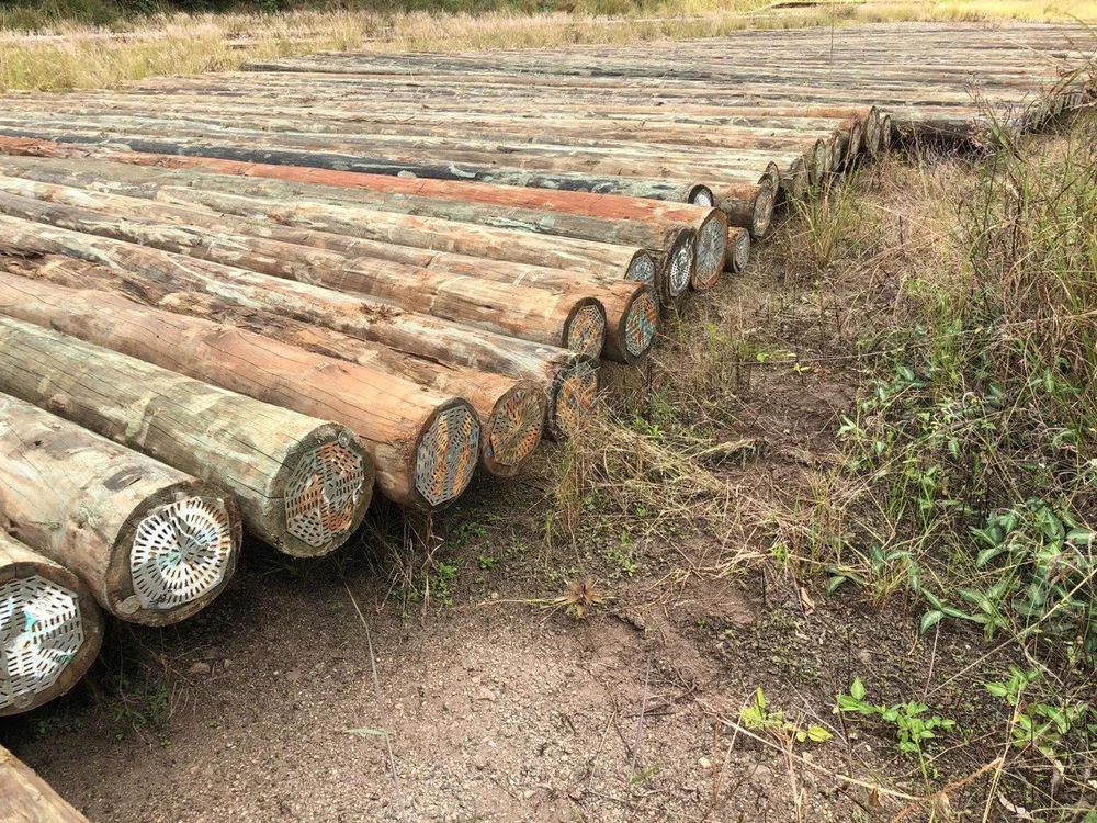 Sustainability — Madera Limited