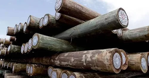 Sustainability — Madera Limited