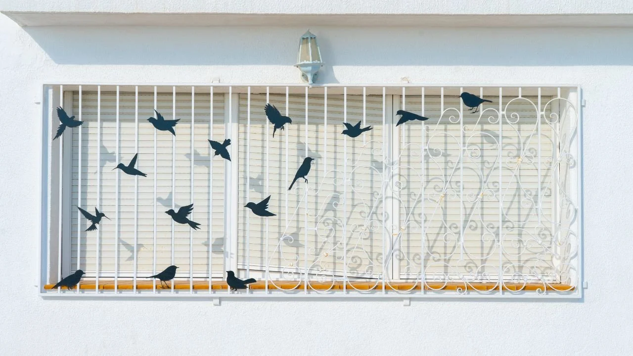 Do’s and Don’ts of Bird - Window Stickers — Stewardship Centre for BC
