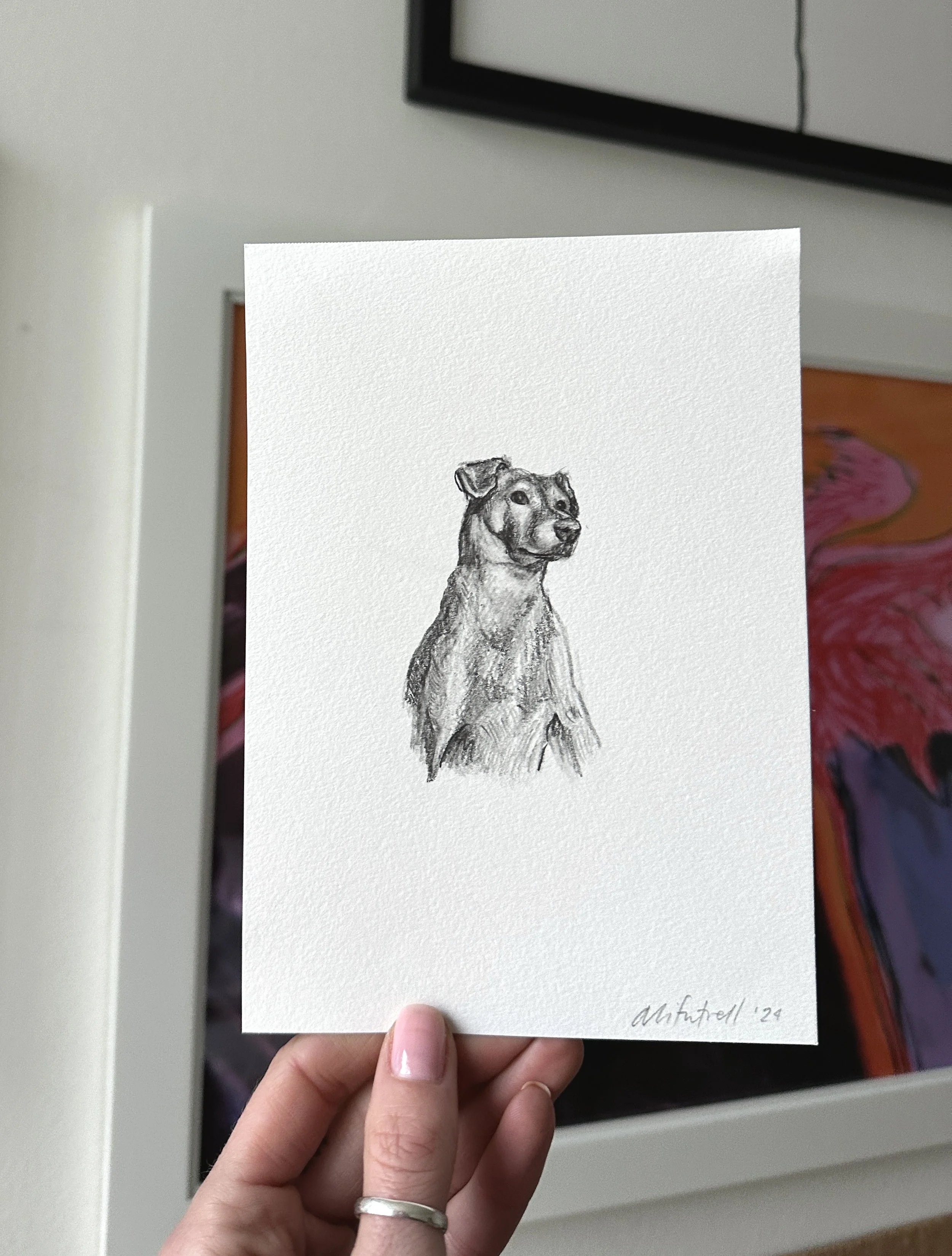 Shop — Ali Futrell Art