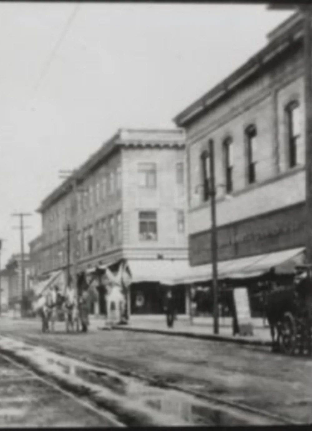 Specialty Housewares | Santa Rosa, CA - Hardisty's Homewares