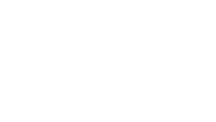 REDECAM