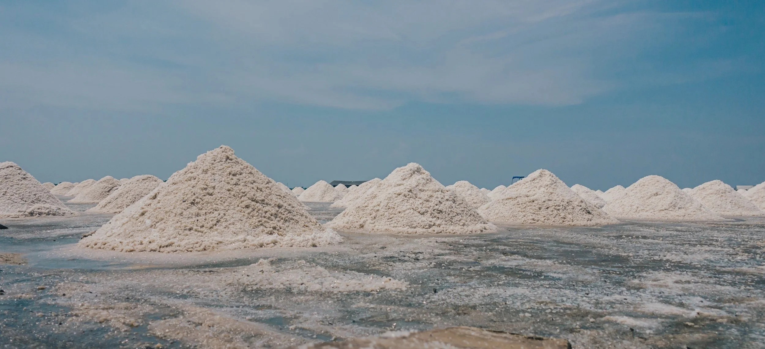 SECO SALT