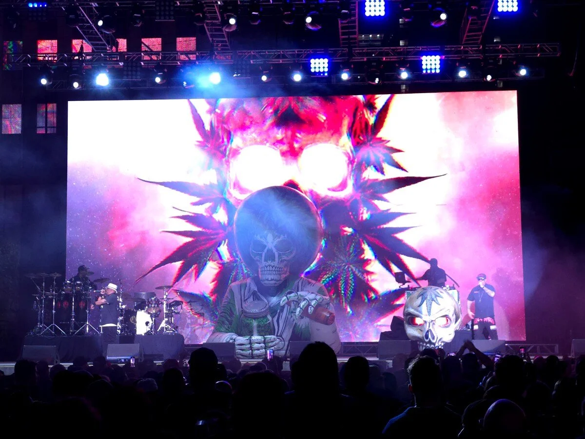 Rock On! Our Family's Fun Guide to Taking Kids to Concerts — Parents ...