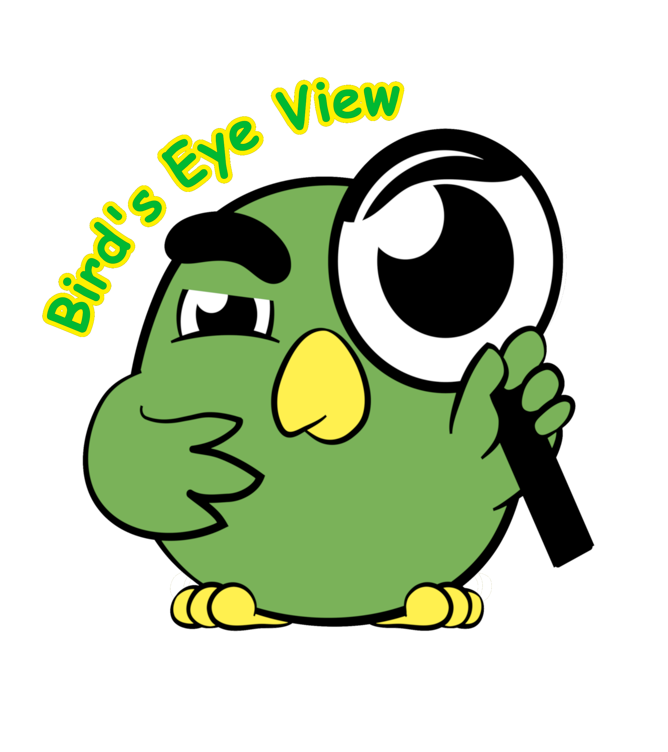 General 1 — Bird's Eye View Images