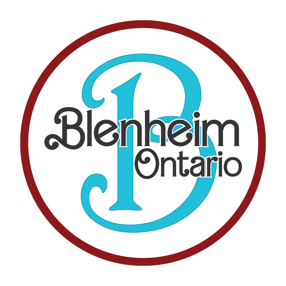 Discover Blenheim | Experience Blenheim – Explore & Discover Now ...