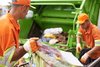 Florida Waste Solutions | Waste Management in Sebring, Florida
