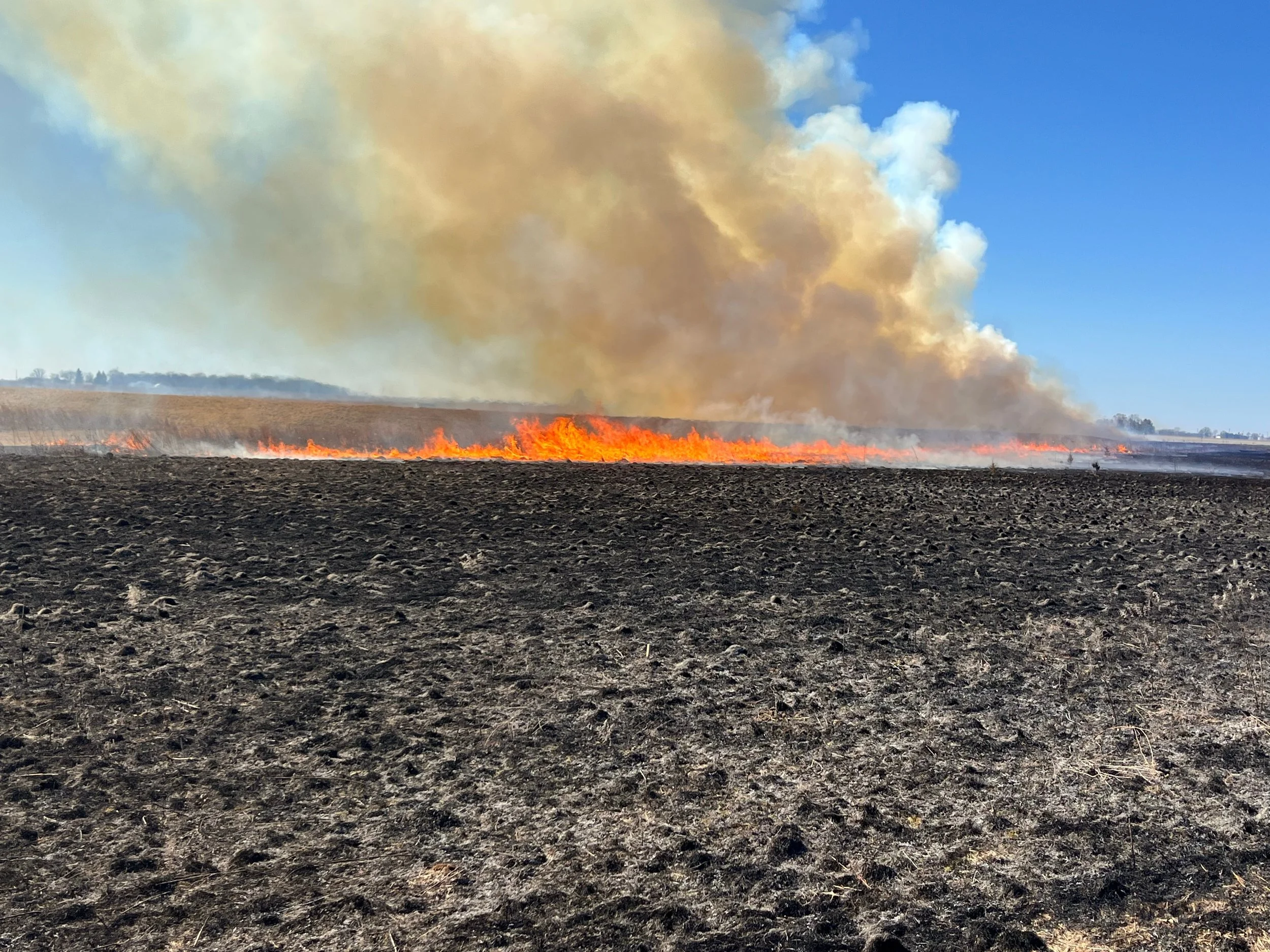 Kestrel Prescribed Fire Solutions, LLC