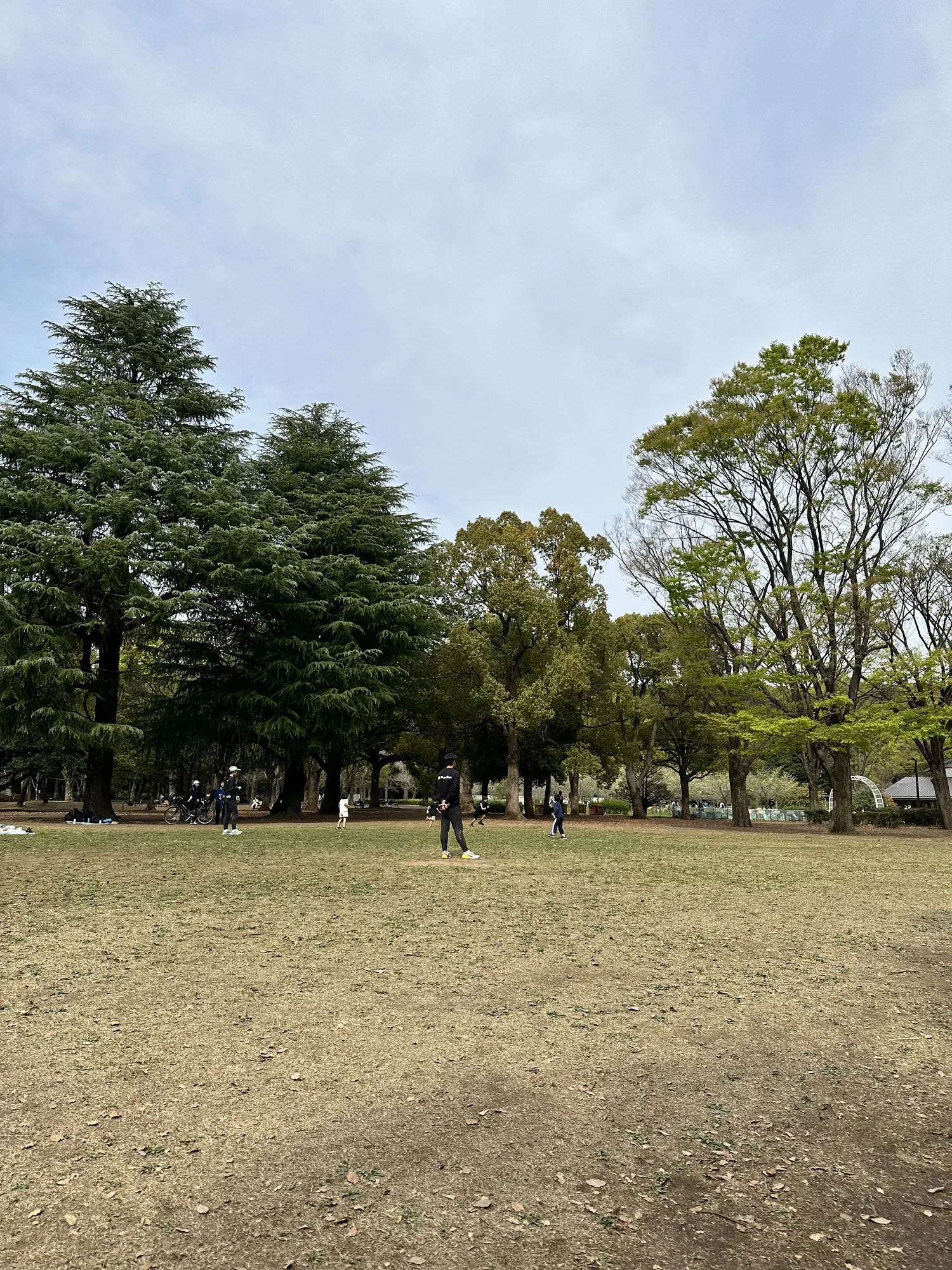 Yoyogi Park Tokyo: A Complete Guide to Hanami, Dog Runs, and Relaxing ...