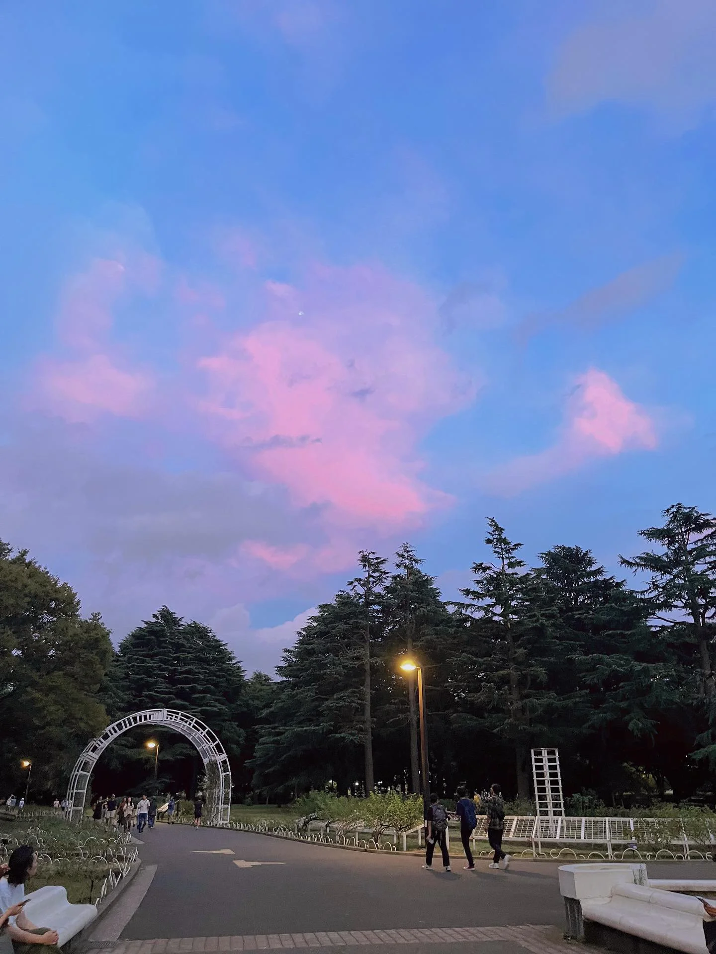 Yoyogi Park Tokyo: A Complete Guide to Hanami, Dog Runs, and Relaxing ...