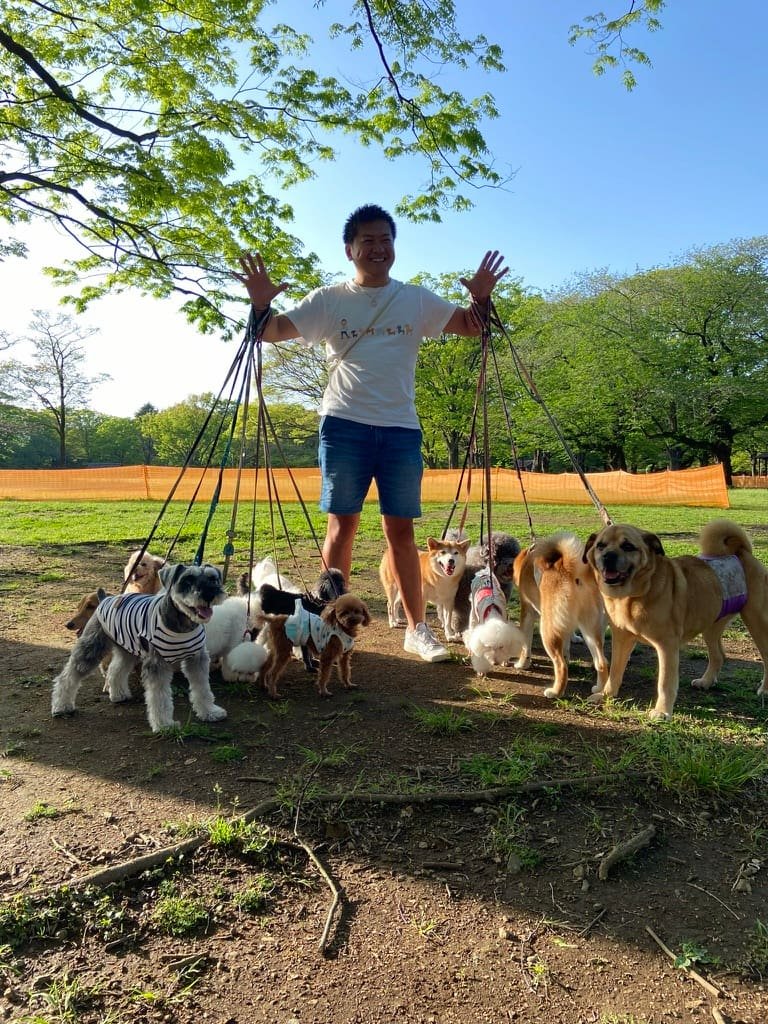 Yoyogi Park Tokyo: A Complete Guide to Hanami, Dog Runs, and Relaxing ...