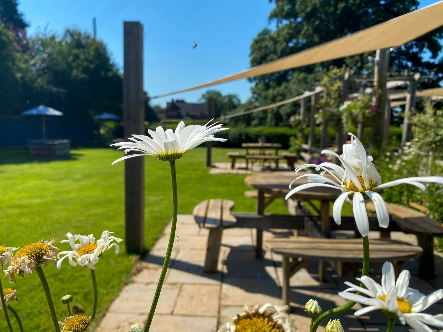 The Hanley Swan Inn | Dine & Unwind