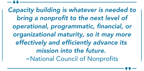Capacity Building — Herrick Foundation