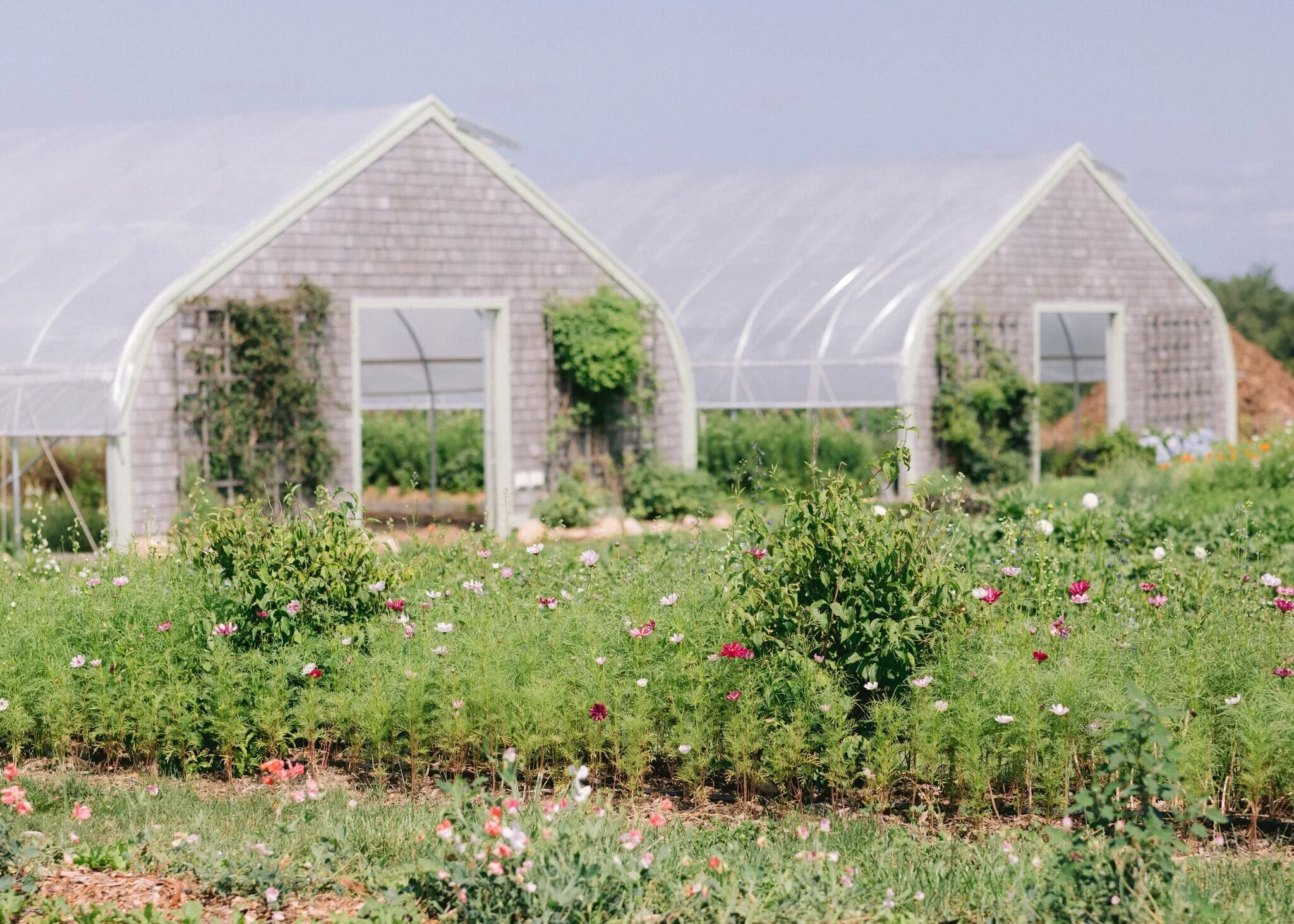 Florals | Discover Sustainable Blooms — WEATHERLOW FARMS